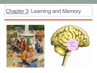 5 introduction to philosophy | PPT