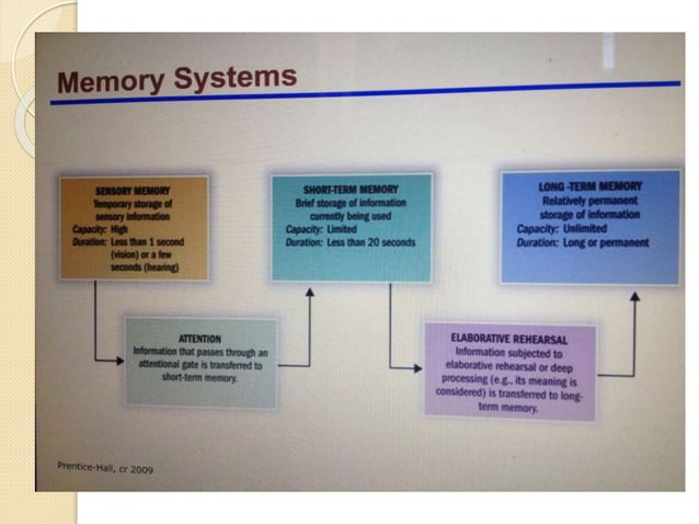 5 introduction to philosophy | PPT