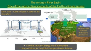 Amazonia | PDF