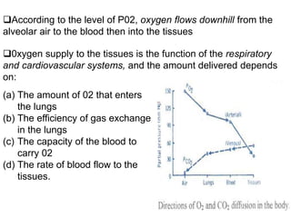 Oxygen transport (carriage)_by_the_bl000 | PPT