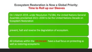 ecology and ecosystem restoration | PPTX