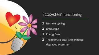 ecology and ecosystem restoration | PPTX