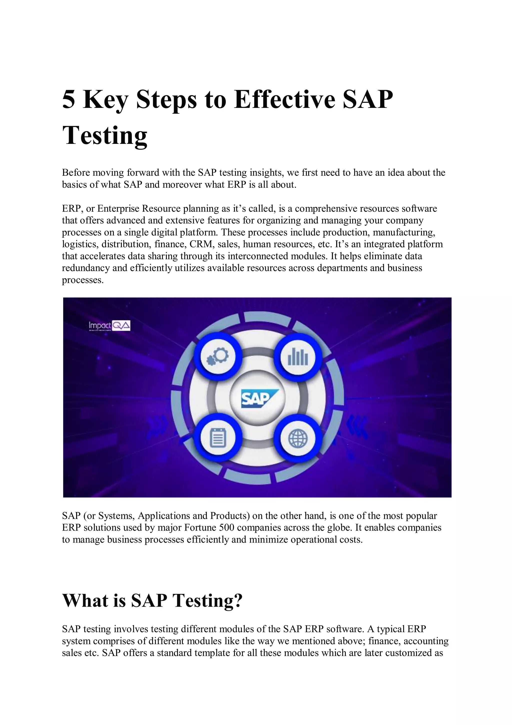 5 Key Steps to Effective SAP Testing | PDF