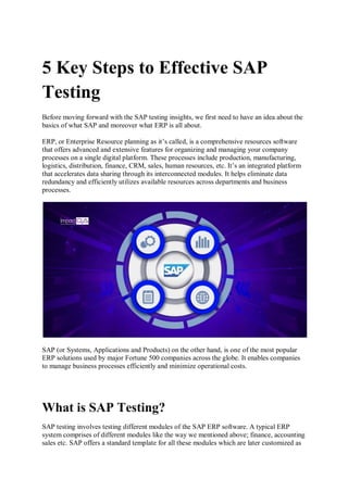 5 Key Steps to Effective SAP Testing | PDF