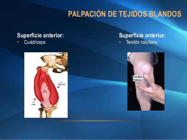 Exploracion Semiologica de la aarticulacion de la rodilla
