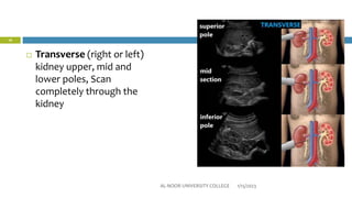 ultrasound of kidneys | PPTX