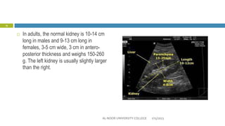 ultrasound of kidneys | PPTX