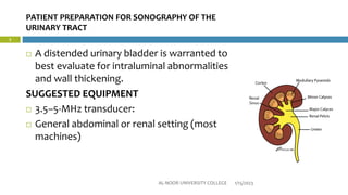 ultrasound of kidneys | PPTX