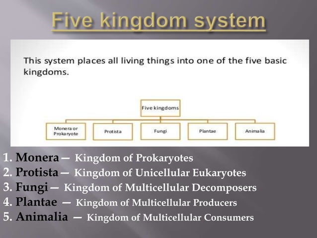 5 kingdom classification | Whittaker classification | PPTX | Biological Sciences | Science