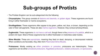 Five kingdom classification.pptx