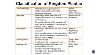 Five kingdom classification.pptx
