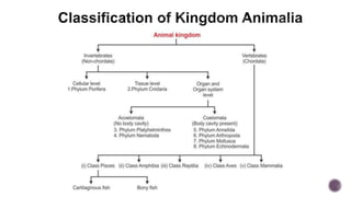 Five kingdom classification.pptx