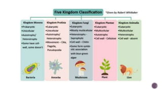 Five kingdom classification.pptx