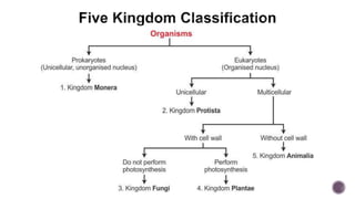 Five kingdom classification.pptx