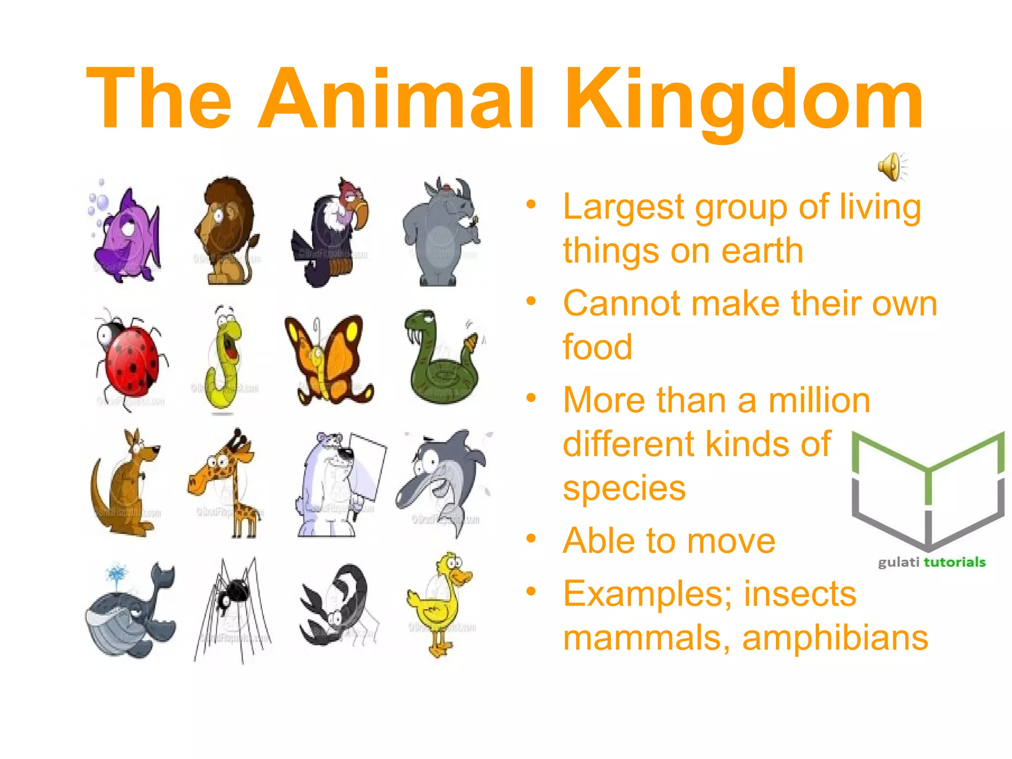 Five Kigdom System of Classification | PPT