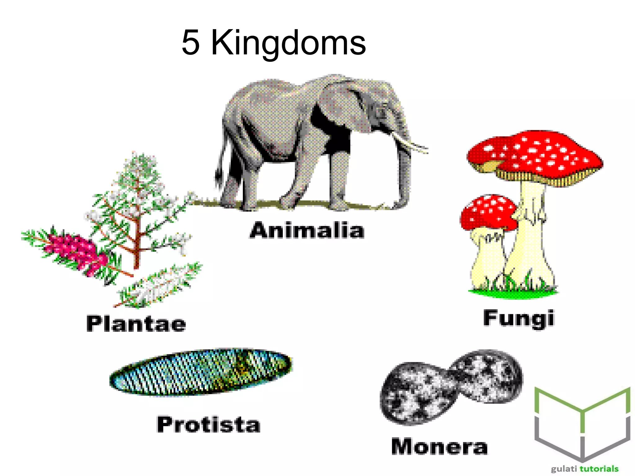 Five Kigdom System of Classification | PPT