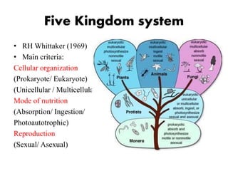 Whittaker's 5 kingdom classificaton | PPTX