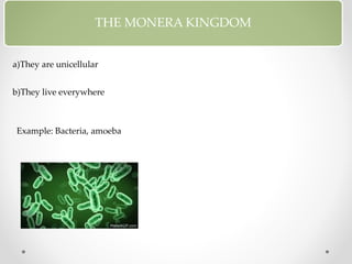 5 kingdoms | PPT