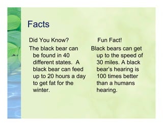 5kl Black Bear | PPT