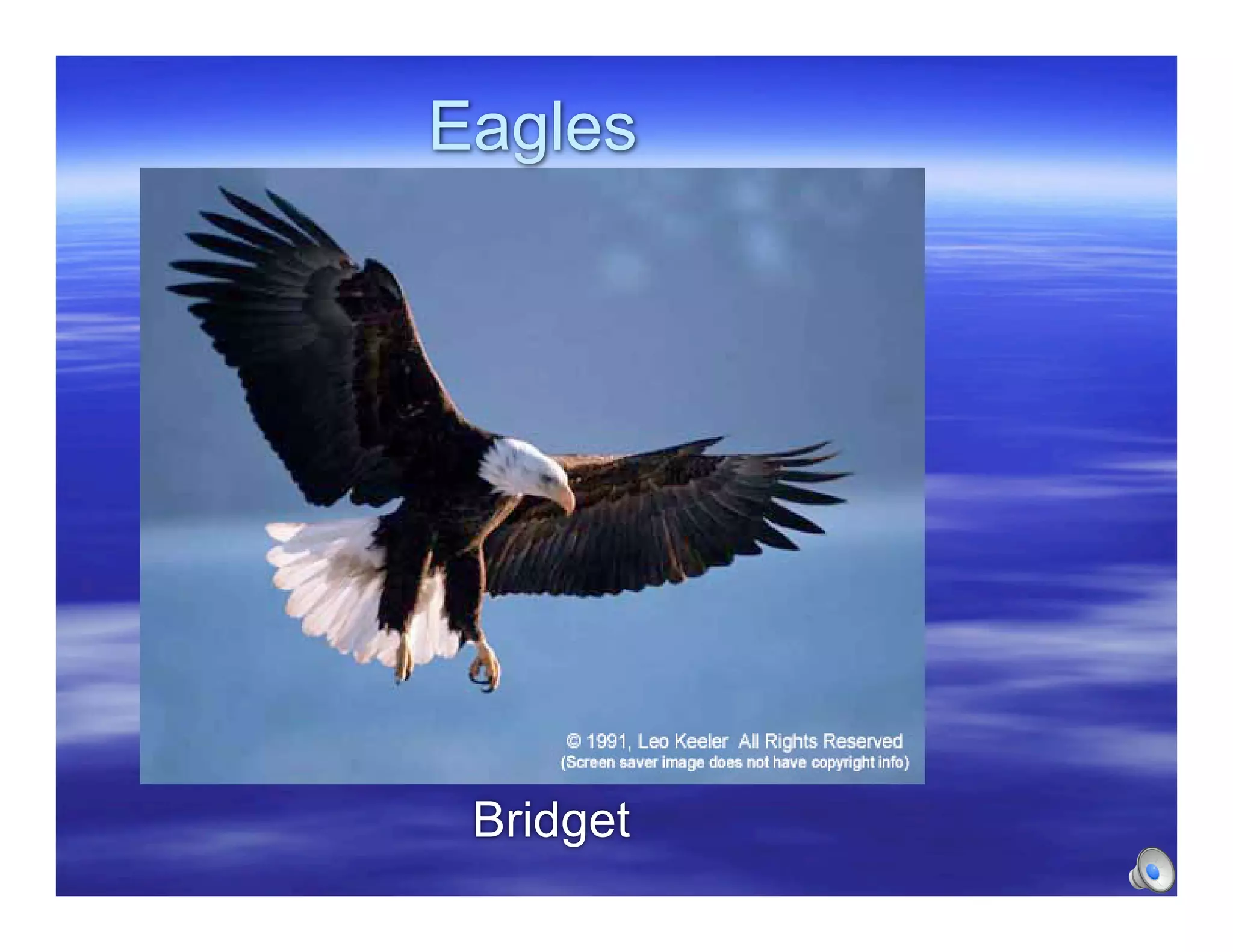 5kl Eagle | PDF