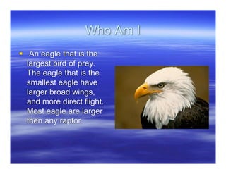 5kl Eagle | PPT