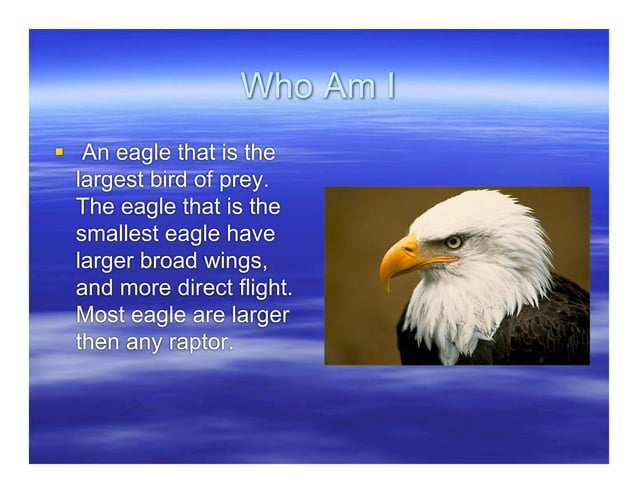 5kl Eagle | PPT