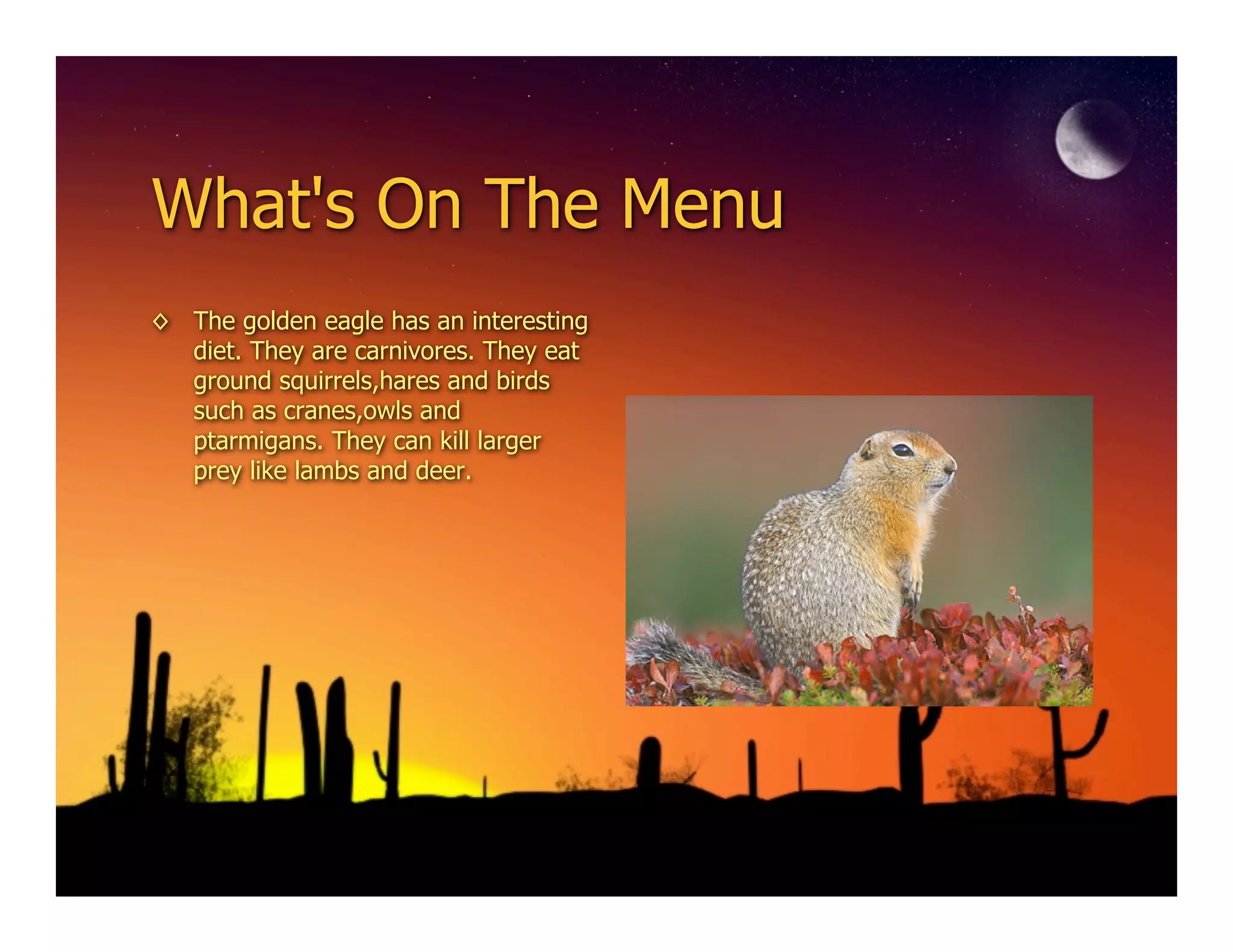 5KL Golden Eagle | PDF