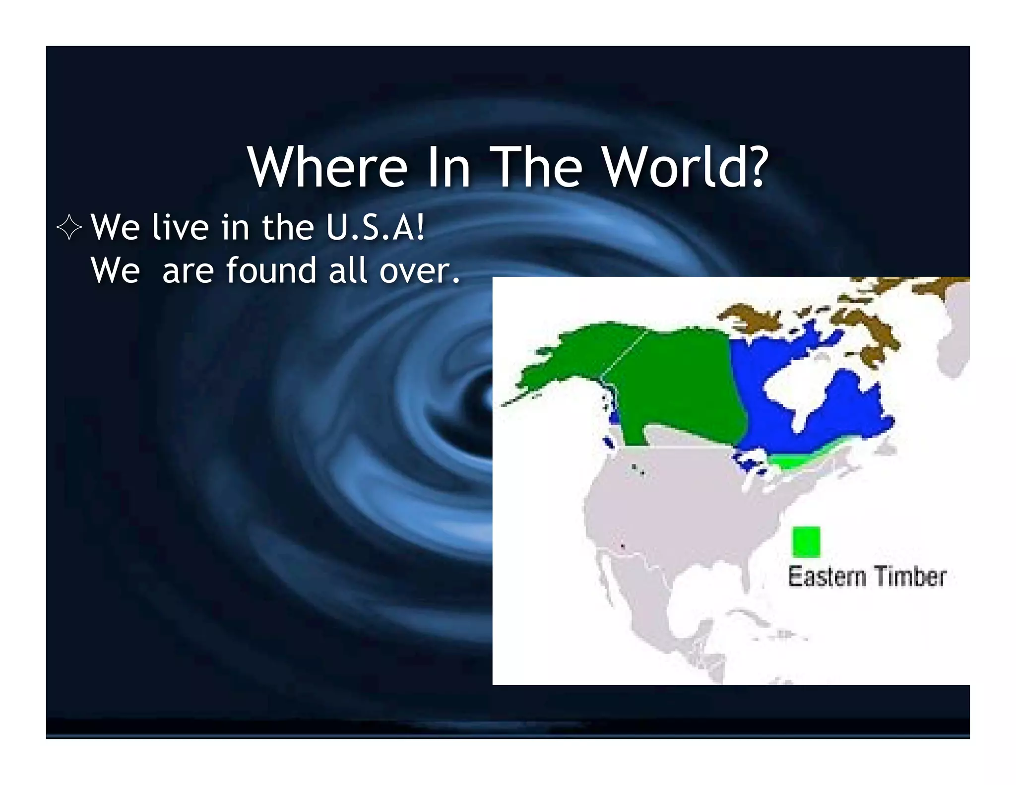 5kl Timber Wolf | PDF