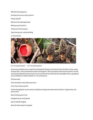 5 klasifikasi jamur | PDF