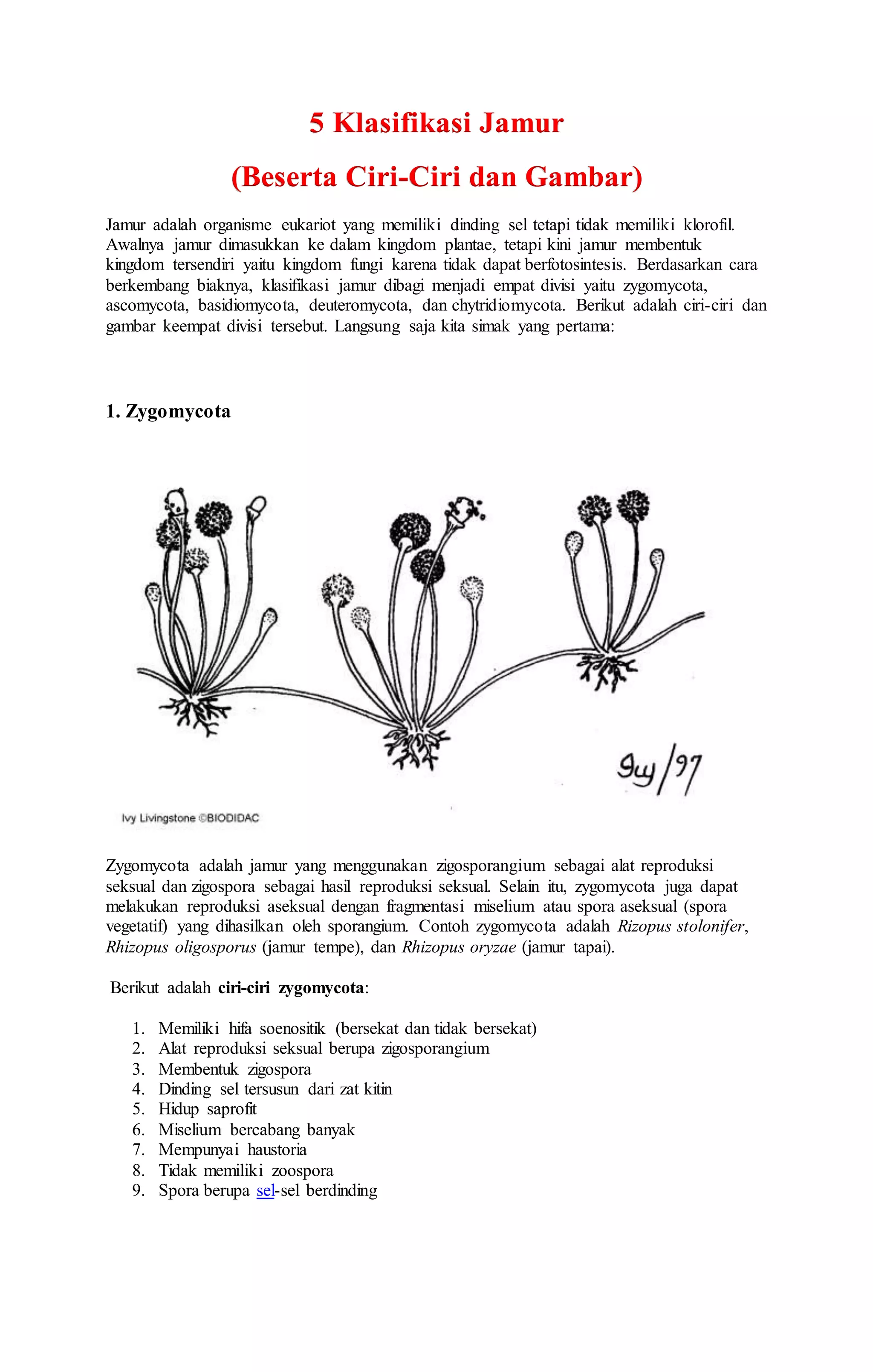 5 klasifikasi jamur | DOCX