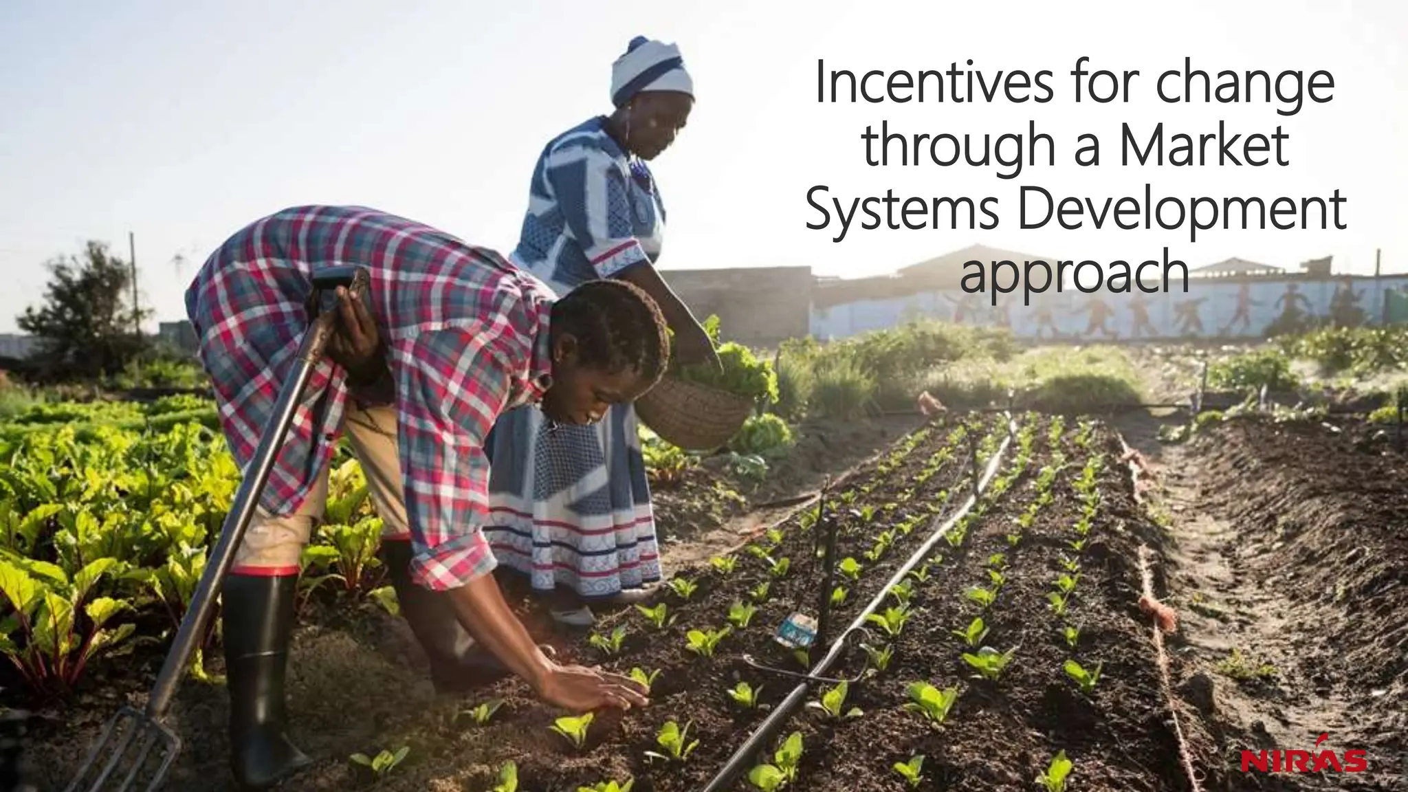 Creating incentives through a Market Systems Development approach | PPT