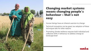 Creating incentives through a Market Systems Development approach | PPT