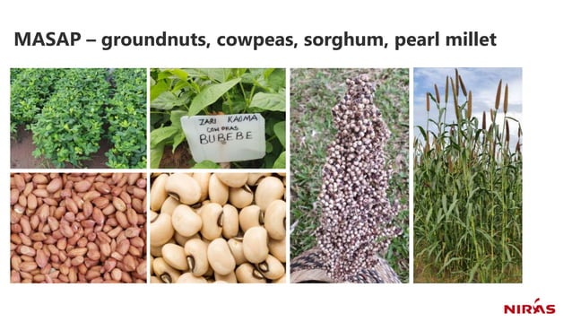 Creating incentives through a Market Systems Development approach | PPT