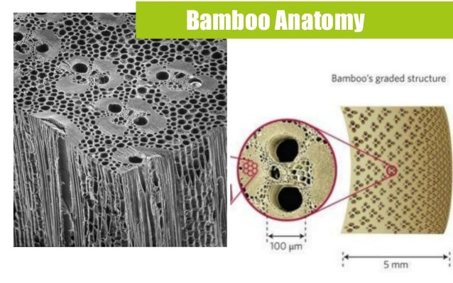 SUSTAINABLE BUILDING / CREATING LIVELIHOODS