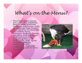 5 L Eagles | PDF | Birdwatching | Hobbies & Interests