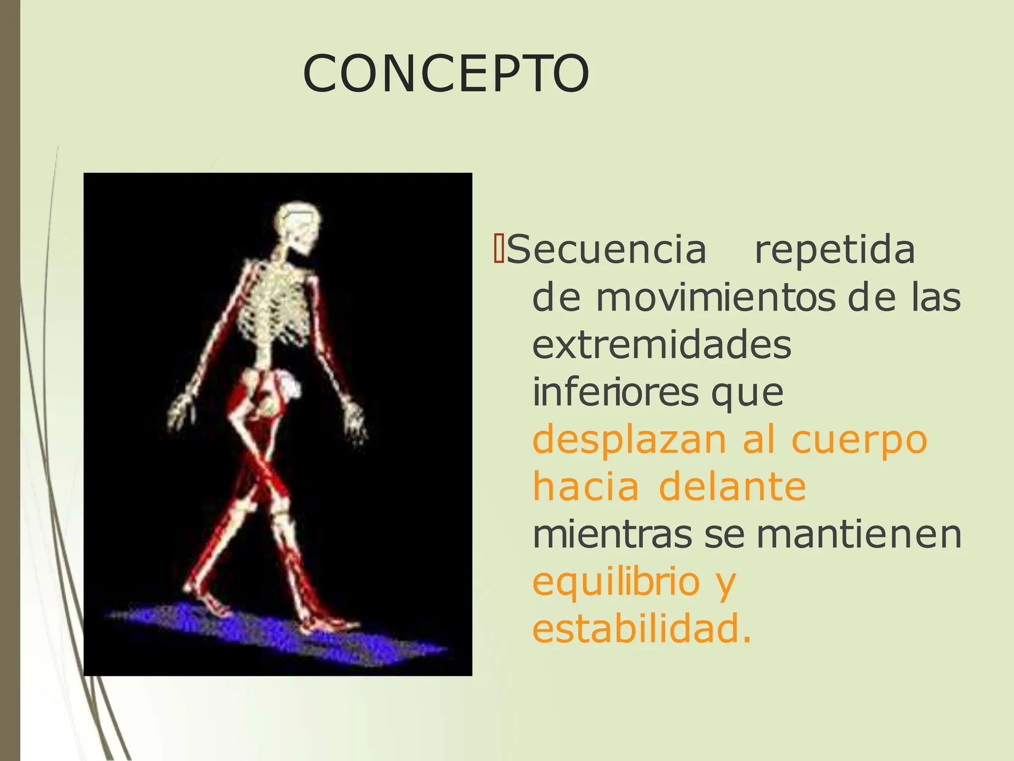 Ciclos de la marcha una efectiva para mejorar postura | PPTX