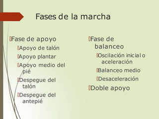 Ciclos de la marcha una efectiva para mejorar postura | PPTX
