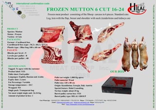 LAMB MUTTON 6 CUTS | PPT