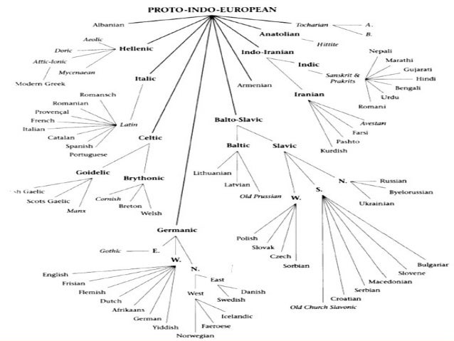 5 language and dialect