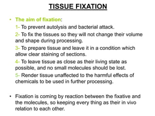 5 lecture preparation histological specimens.pdf