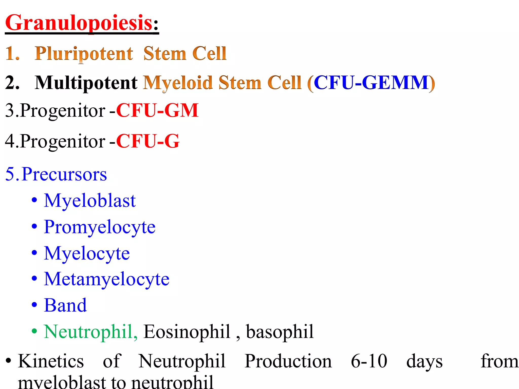 5 Leukopoiesis (1).pdf