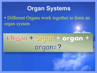 5 level of organization new | PPT