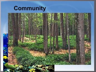 5 level of organization new | PPT