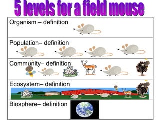 5 Levels Of Environmental Organization | PPT