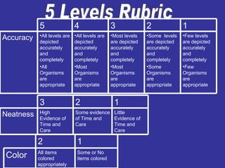 5 Levels Of Environmental Organization | PPT