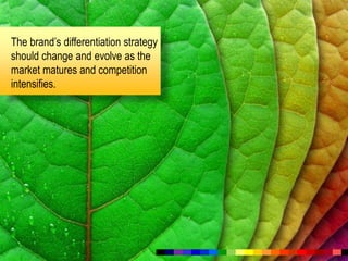 5 Levels of Market Differentiation Strategies | PPTX