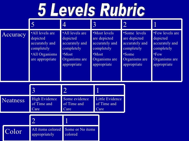 5 Levels Of Organization Rubric