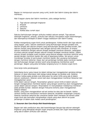 5 lima alat indera manusia | PDF