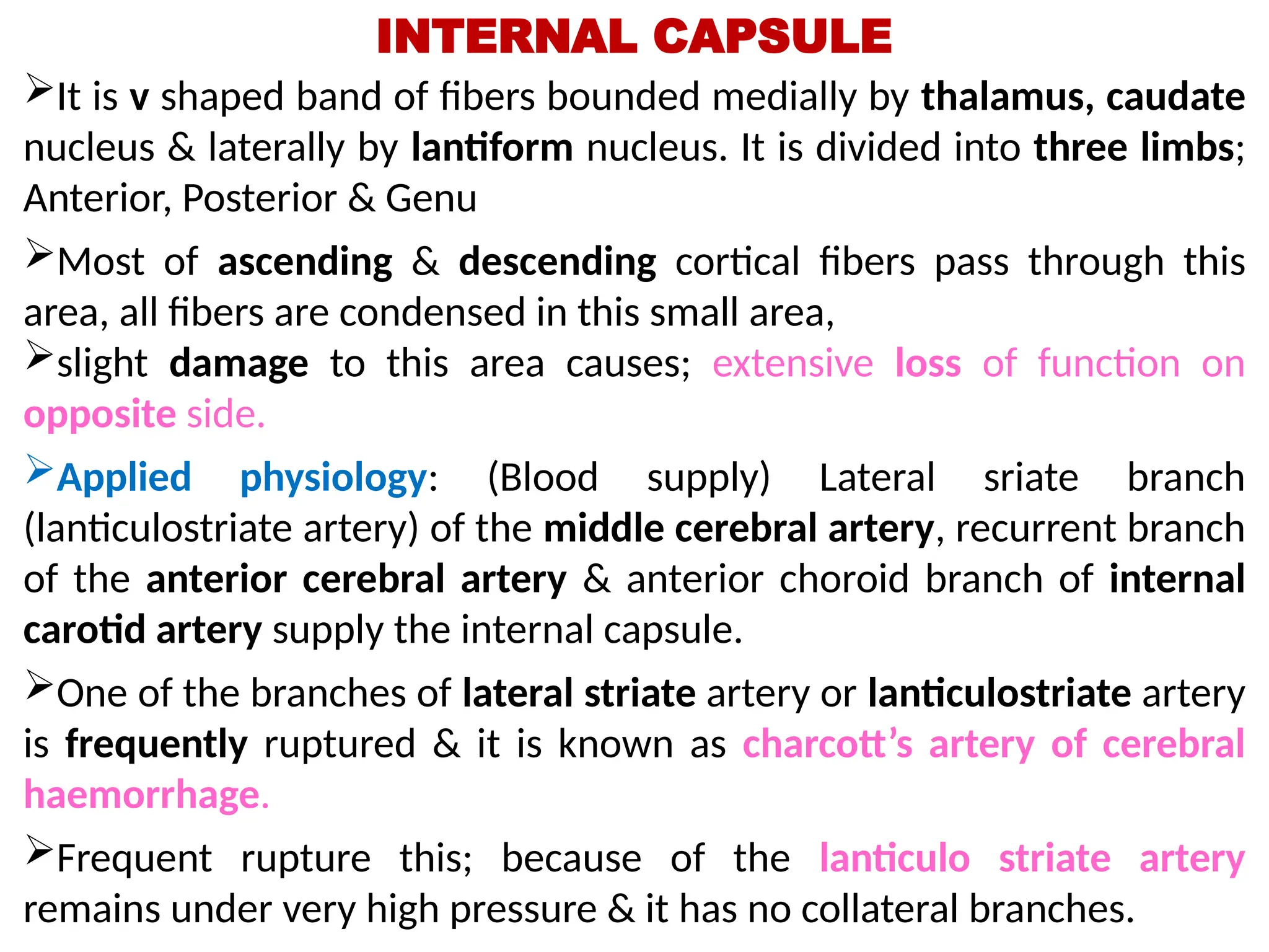 5 Limbic System & Basal Ganglia .pptx