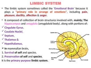 5 Limbic System & Basal Ganglia .pptx